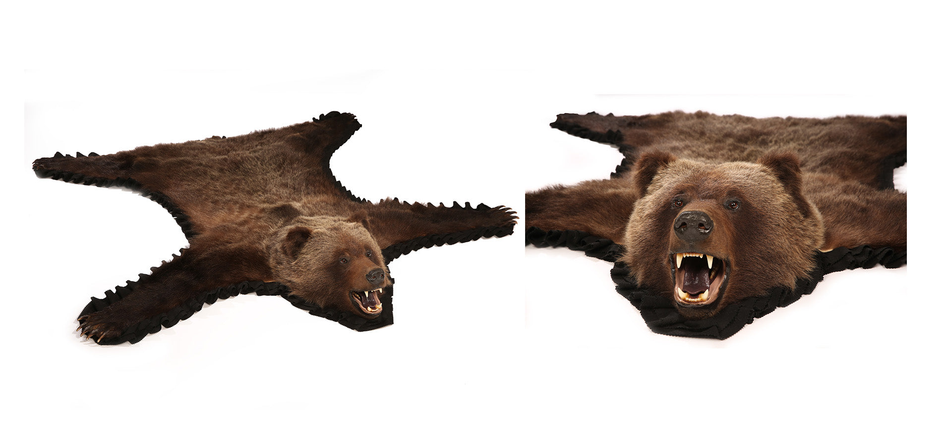 Grizzly Rugs – BILODEAU Canada Taxidermy