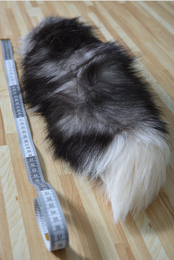 Queue de Renard Argenté – BILODEAU Canada Taxidermy